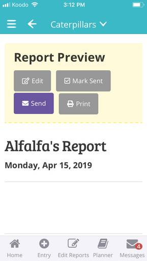 How to Document Challenging Behavior at Preschool | Lillio